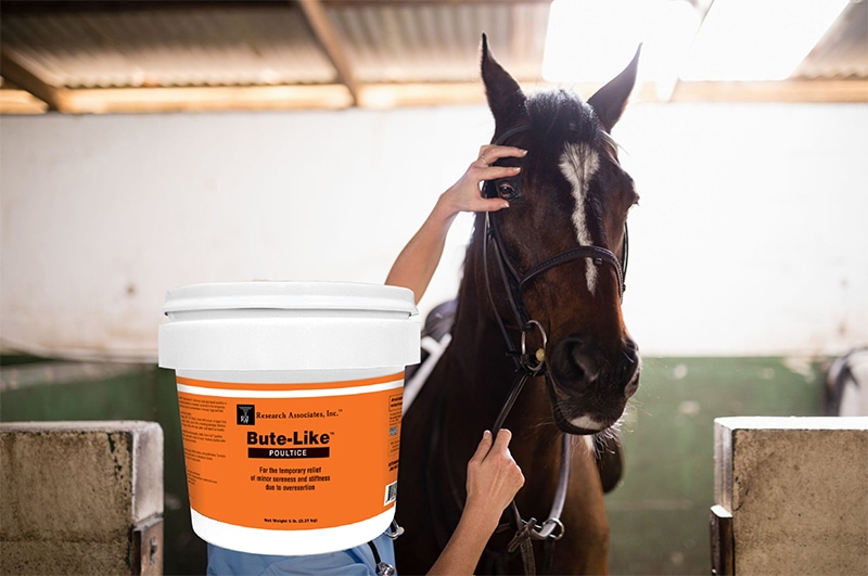 What is Bute-Like™ Poultice and how is it used?